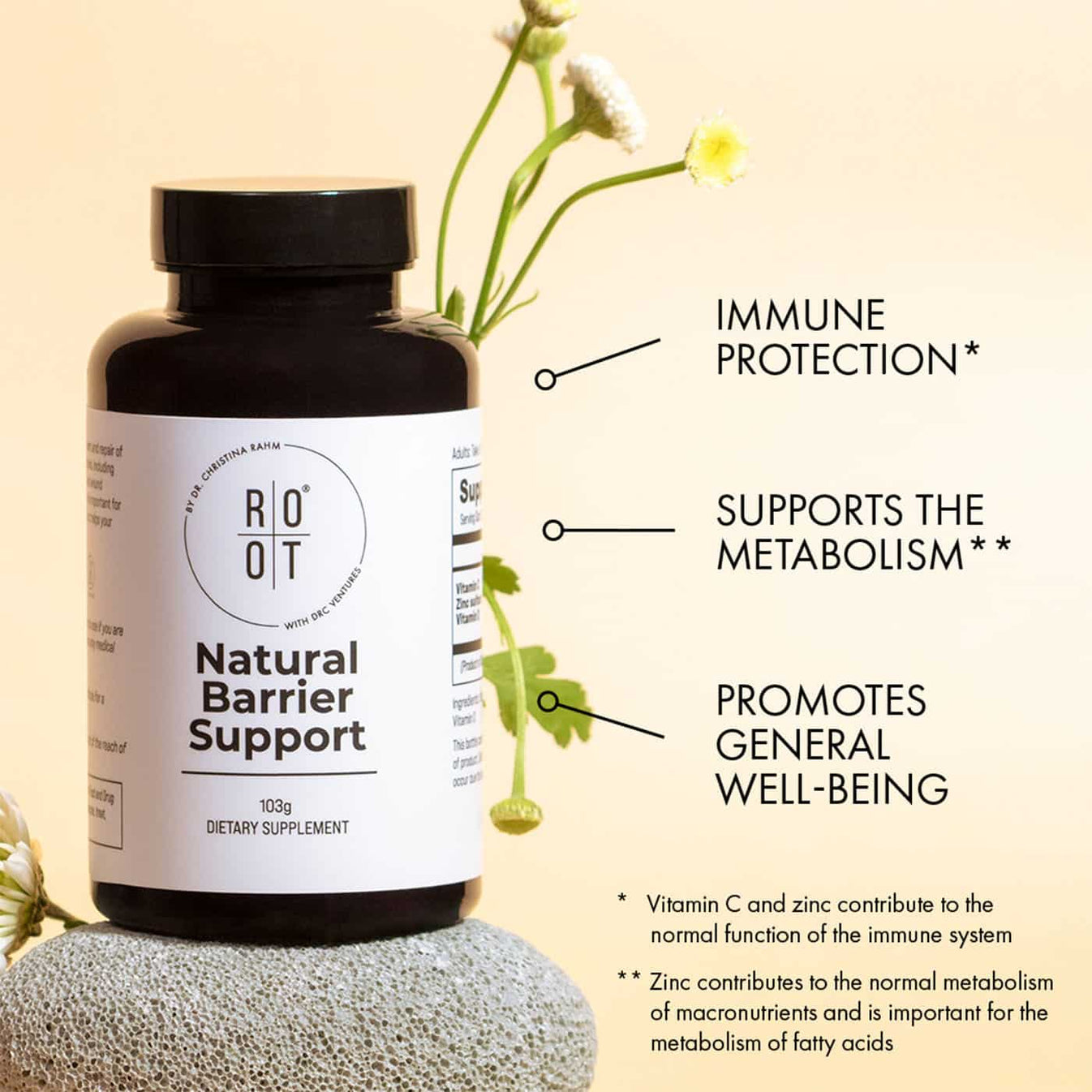 Natural Barrier Support – ROOT